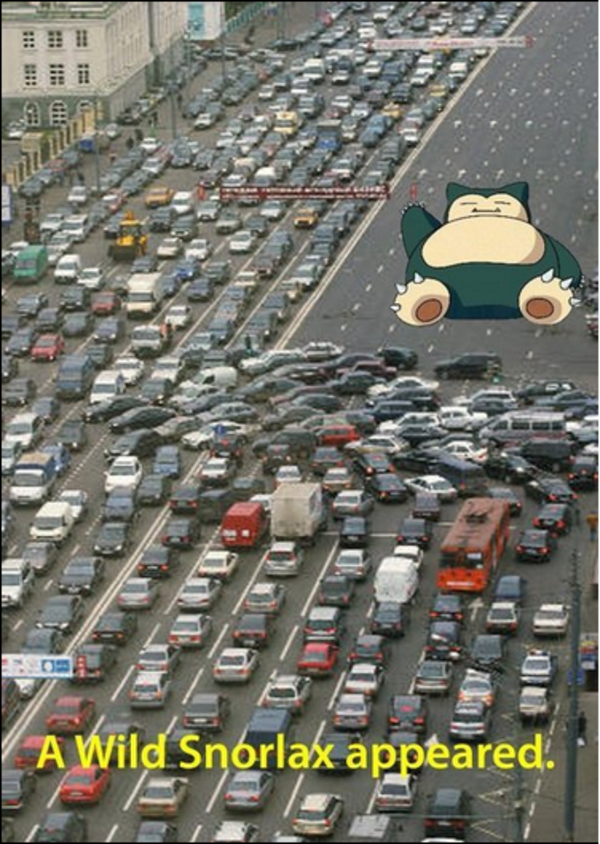 [Image - 411936] | A Wild X Appears! / Wild X Appeared! | Know Your Meme