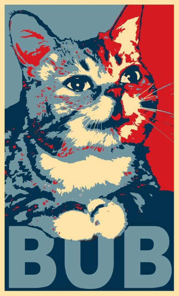 [Image - 413428] | Lil Bub | Know Your Meme