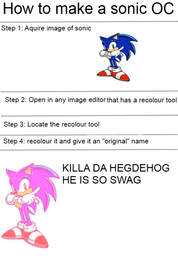 Killa Da Hedgehog Do Not Steal Sonic Original Characters Know Your Meme
