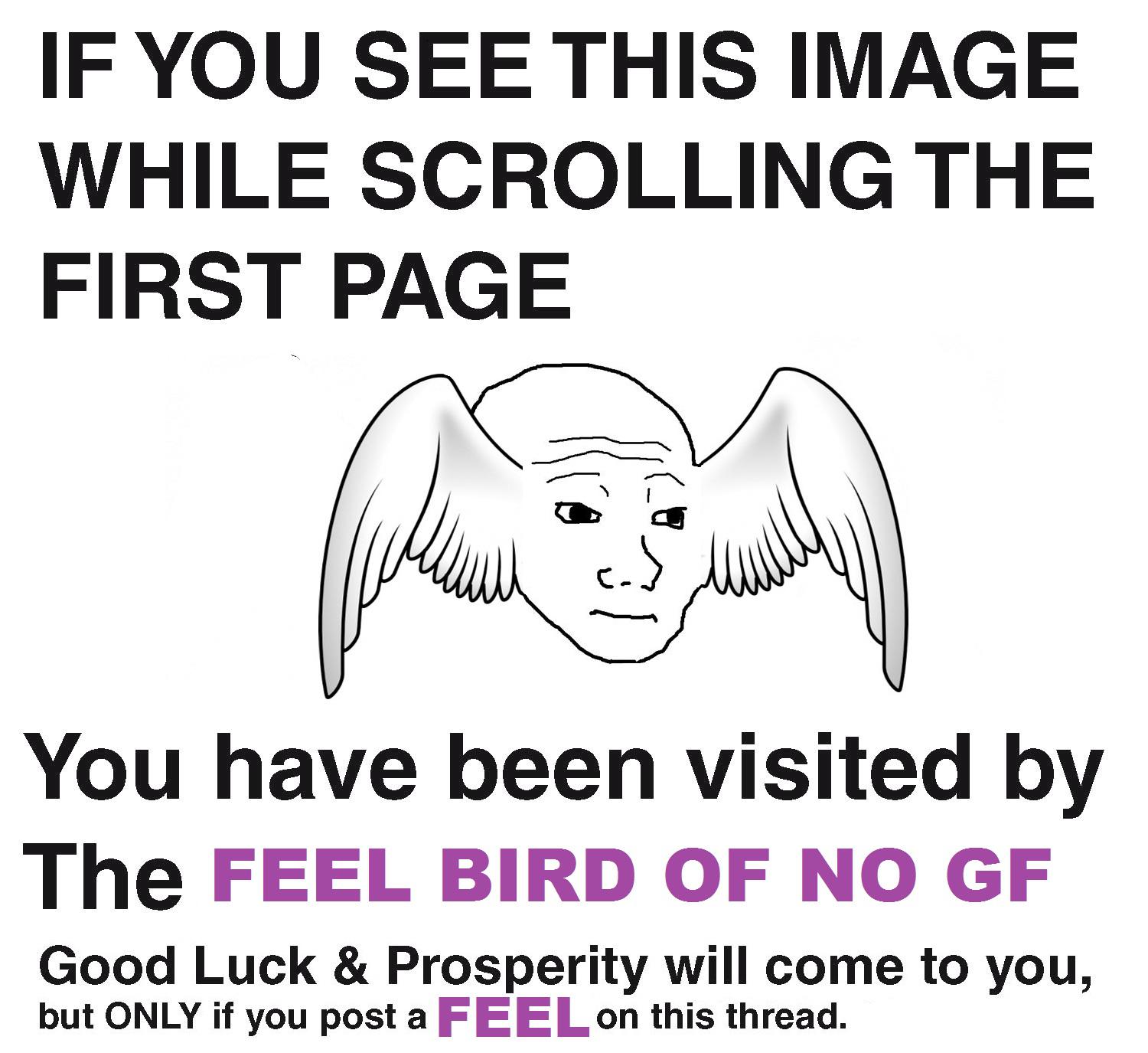 [Image - 415072] | I Know That Feel Bro | Know Your Meme