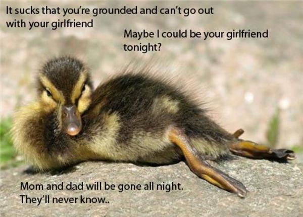 [Image - 417057] | Wincest | Know Your Meme