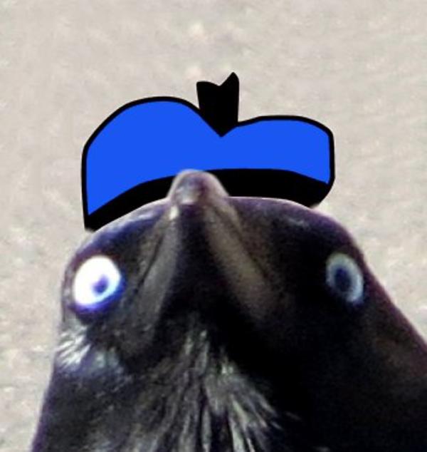 [Image - 419109] | Insanity Crow | Know Your Meme