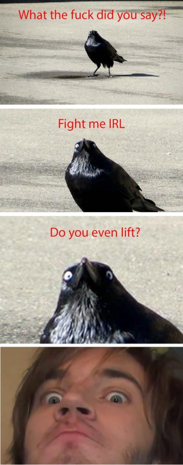[Image - 419469] | Insanity Crow | Know Your Meme