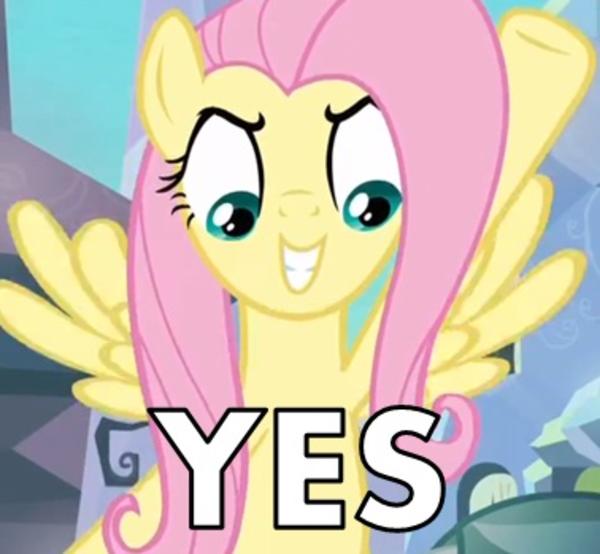 [Image - 420655] | Pony Reactions | Know Your Meme