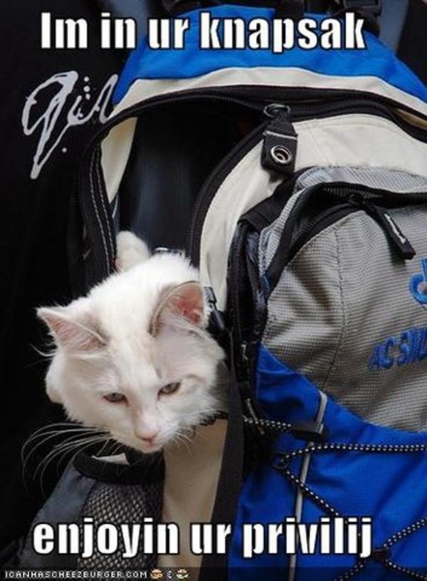 [Image - 423400] | Check Your Privilege | Know Your Meme