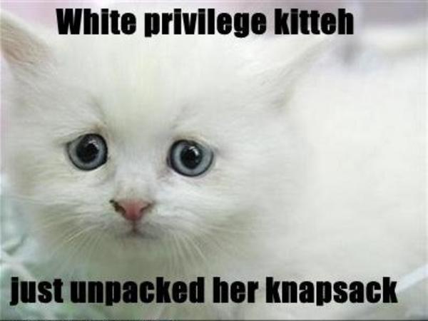 White privilege kitteh just unpacked her knapsack | Check Your ...