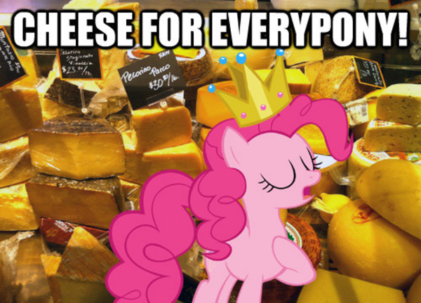 cheese for everypony! | My Little Pony: Friendship is Magic | Know Your ...
