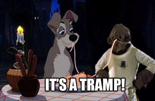 IT'S A TRAMP! | Star Wars | Know Your Meme