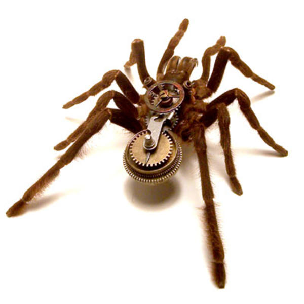 217 infected spider | SCP Foundation | Know Your Meme