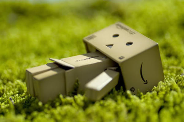 [Image - 431331] | Danbo | Know Your Meme