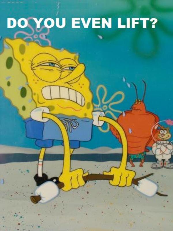 [Image - 431762] | Do You Even Lift? | Know Your Meme