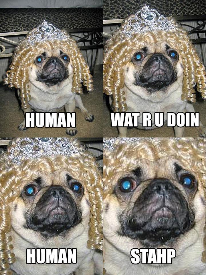 [Image - 435824] | Stahp | Know Your Meme