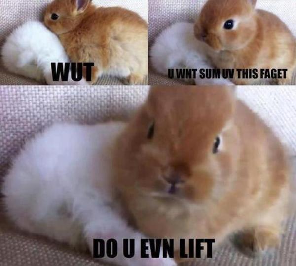 [Image - 439839] | Do You Even Lift? | Know Your Meme