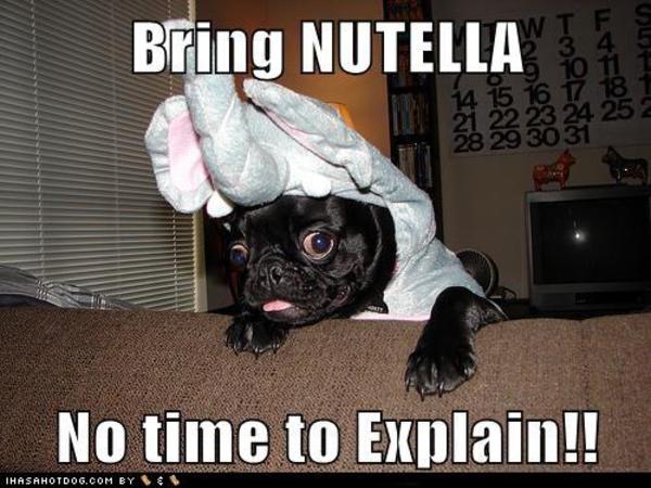 [Image - 441463] | There's No Time To Explain | Know Your Meme