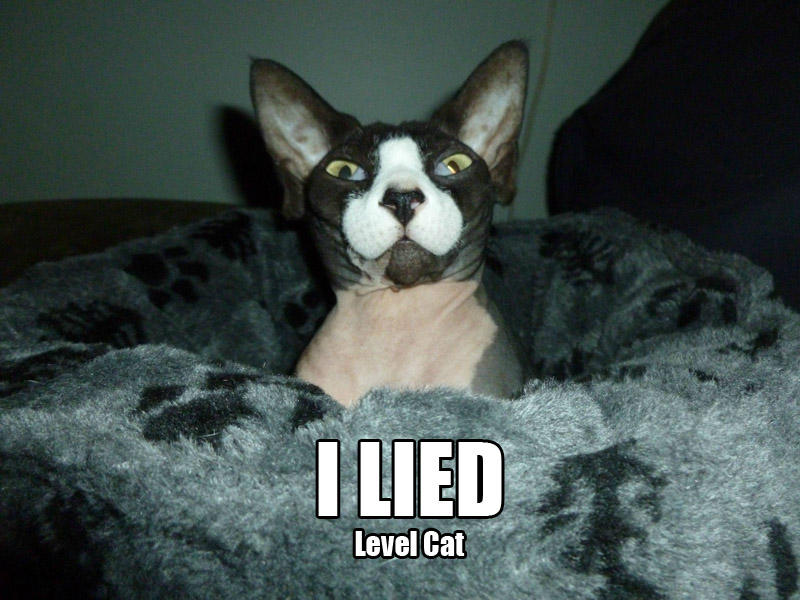I LIED Level Cat | I Lied | Know Your Meme