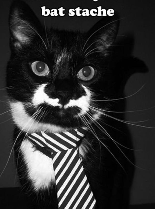 [Image - 442361] | Batman Moustache (Batstache) | Know Your Meme