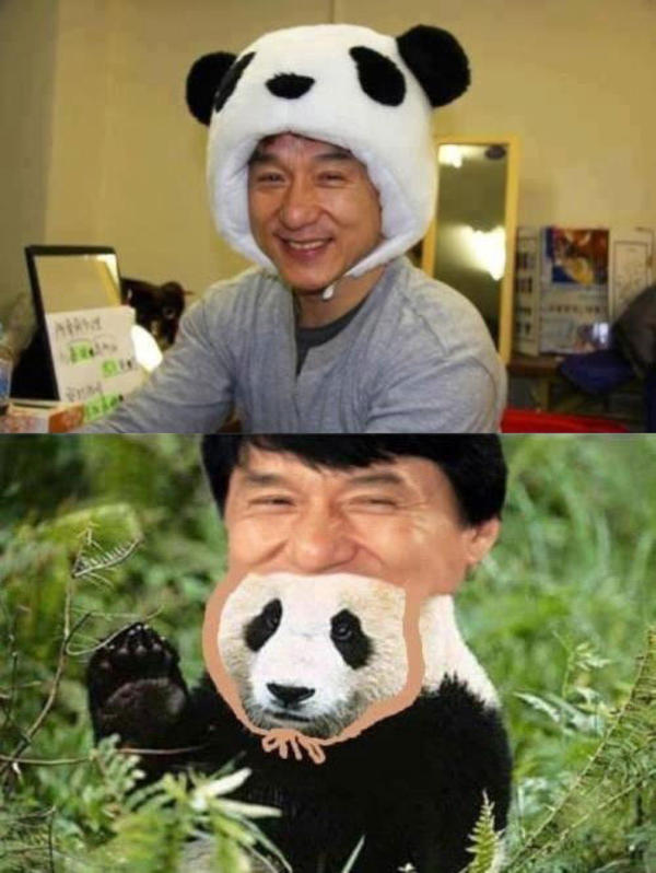 [Image - 446027] | Dafuq | Know Your Meme