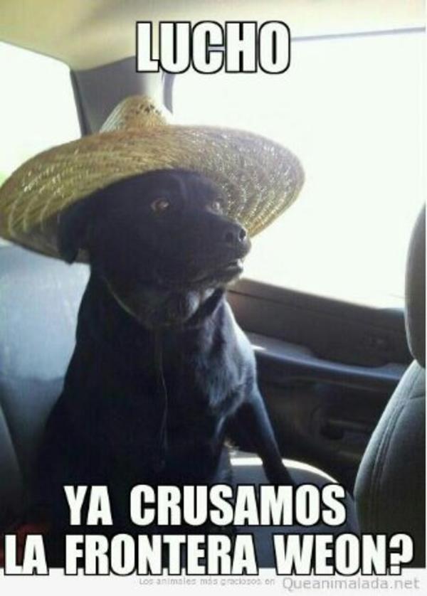 border | Oye Lucho / El Perro Del Lucho | Know Your Meme