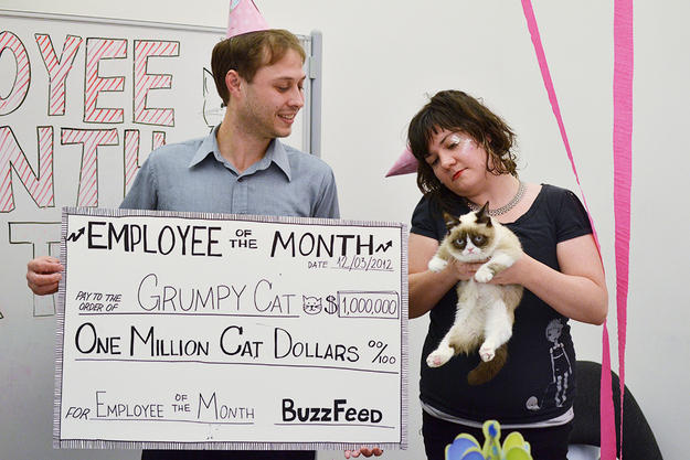 1 million? DGAF | Grumpy Cat | Know Your Meme