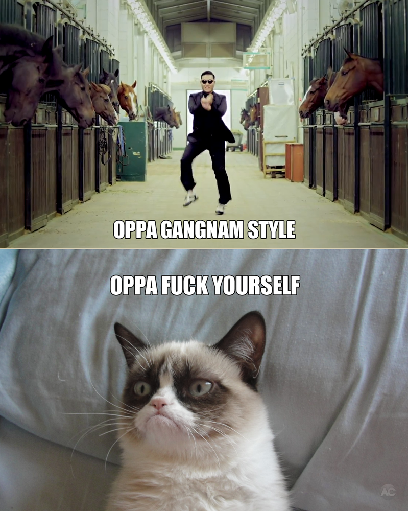 Oppa....NO! | Grumpy Cat | Know Your Meme