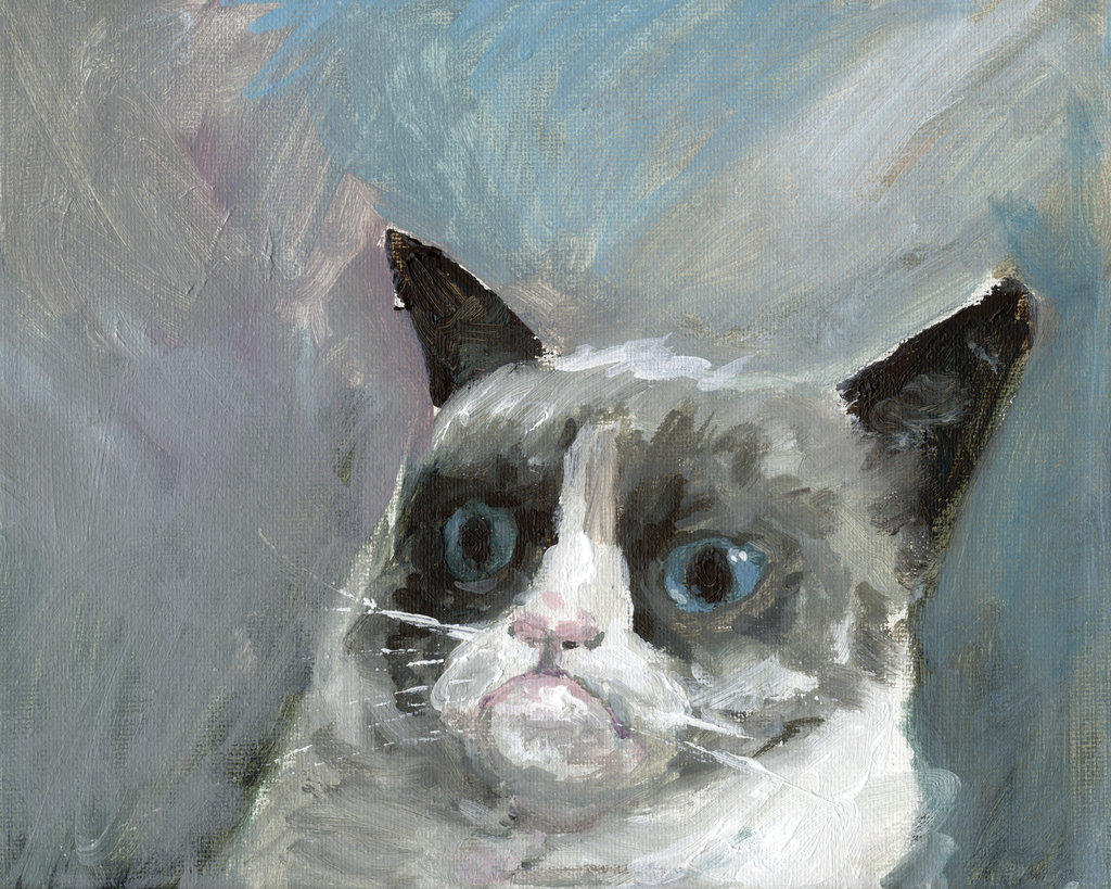 Srsly | Grumpy Cat | Know Your Meme