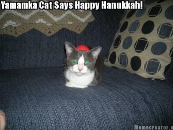 Yamaka Cat | Know Your Meme