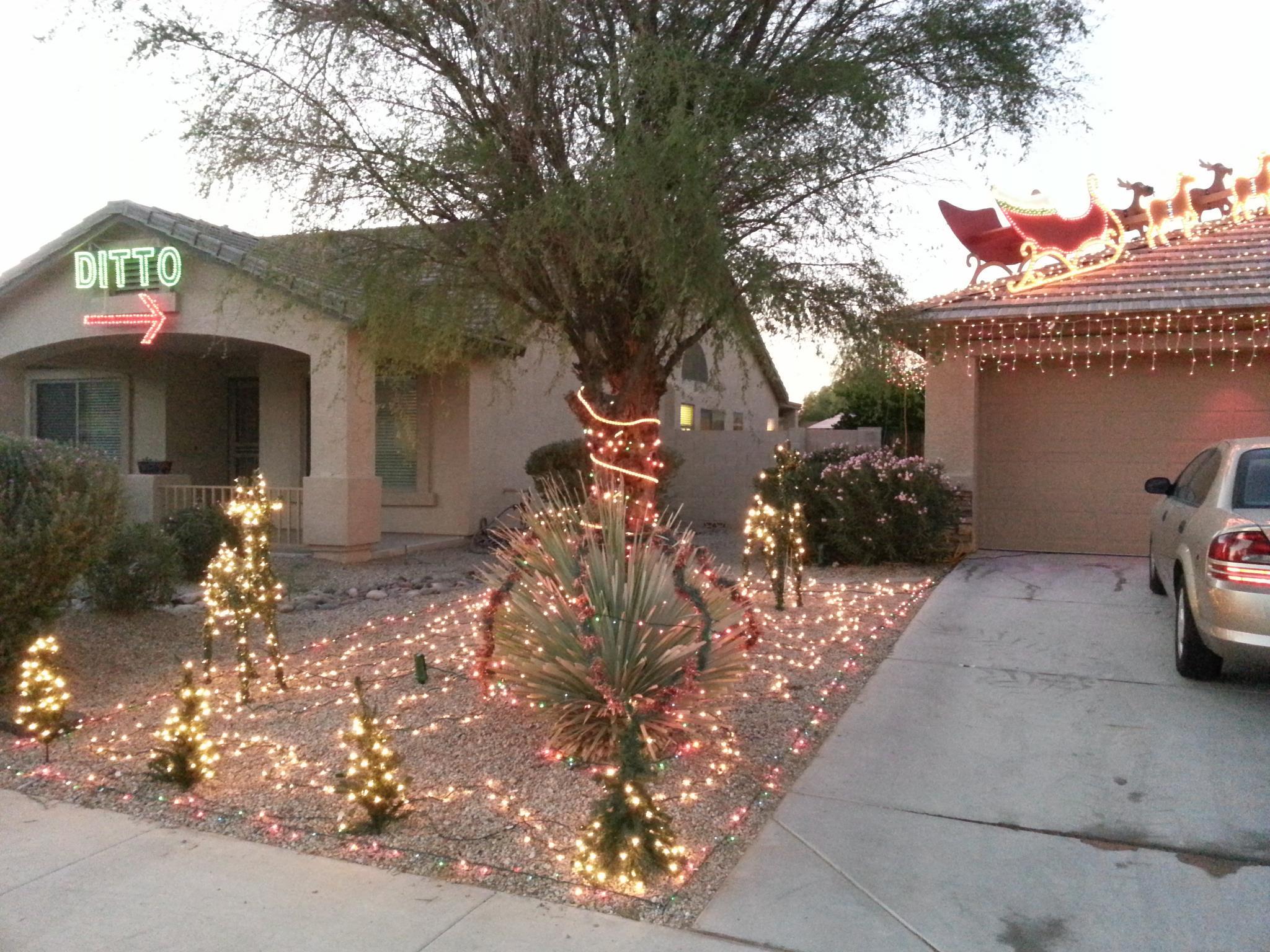 Ditto Lights | Holiday Light Show Videos | Know Your Meme