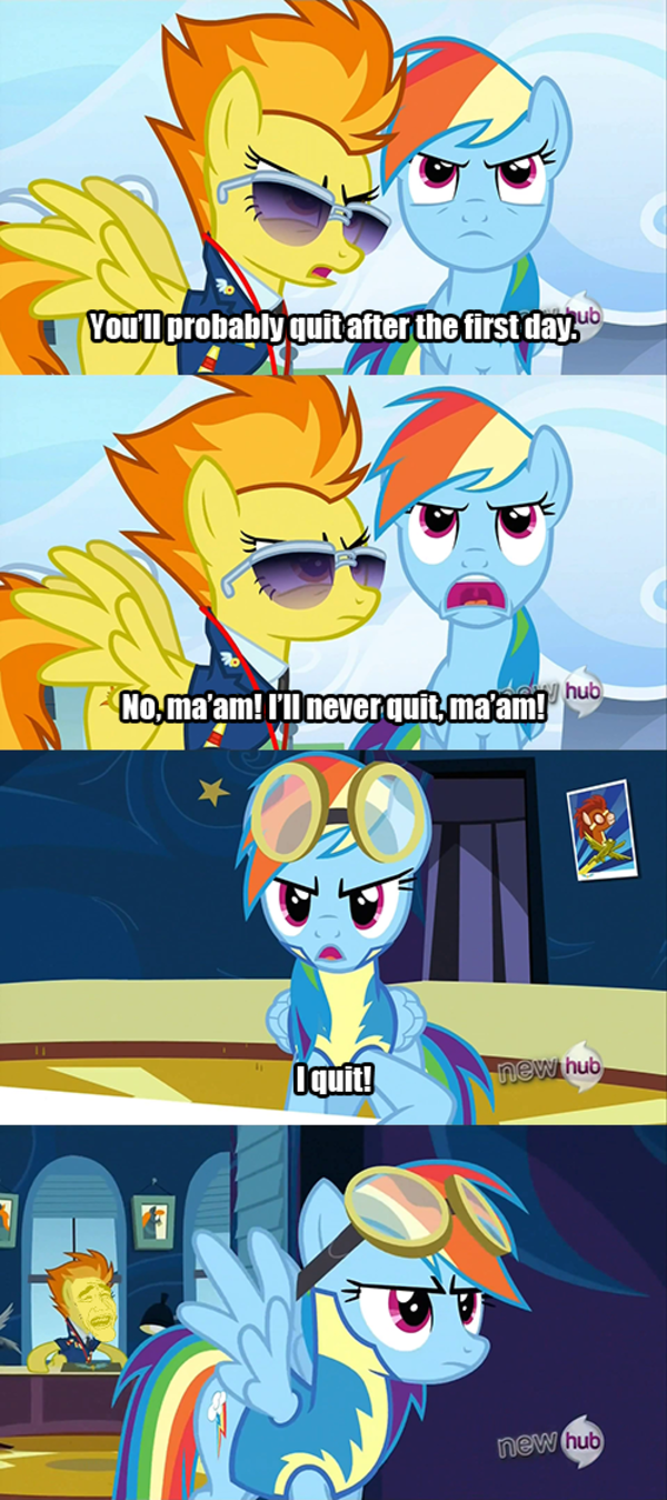 Element of Loyalty | My Little Pony: Friendship is Magic | Know Your Meme