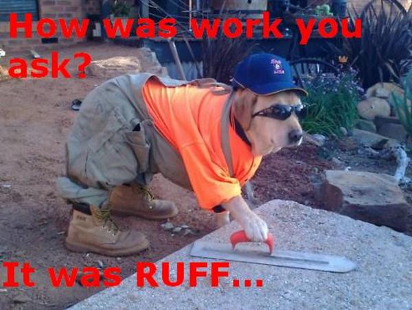 It was RUFF | Know Your Meme