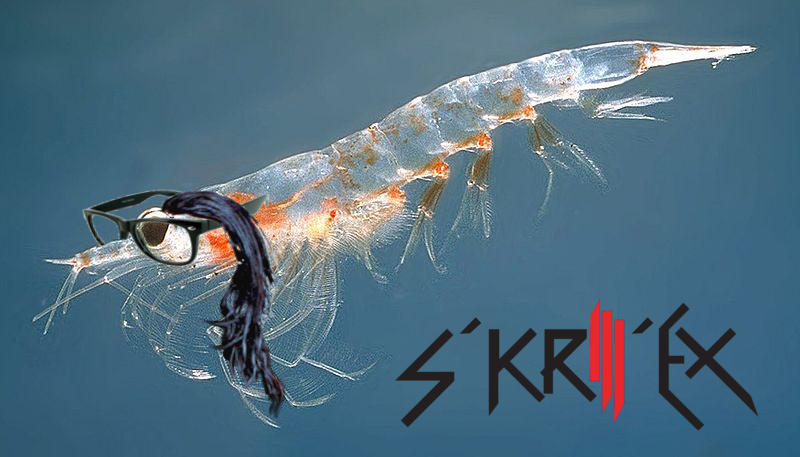 s'krill'ex | Name Puns | Know Your Meme