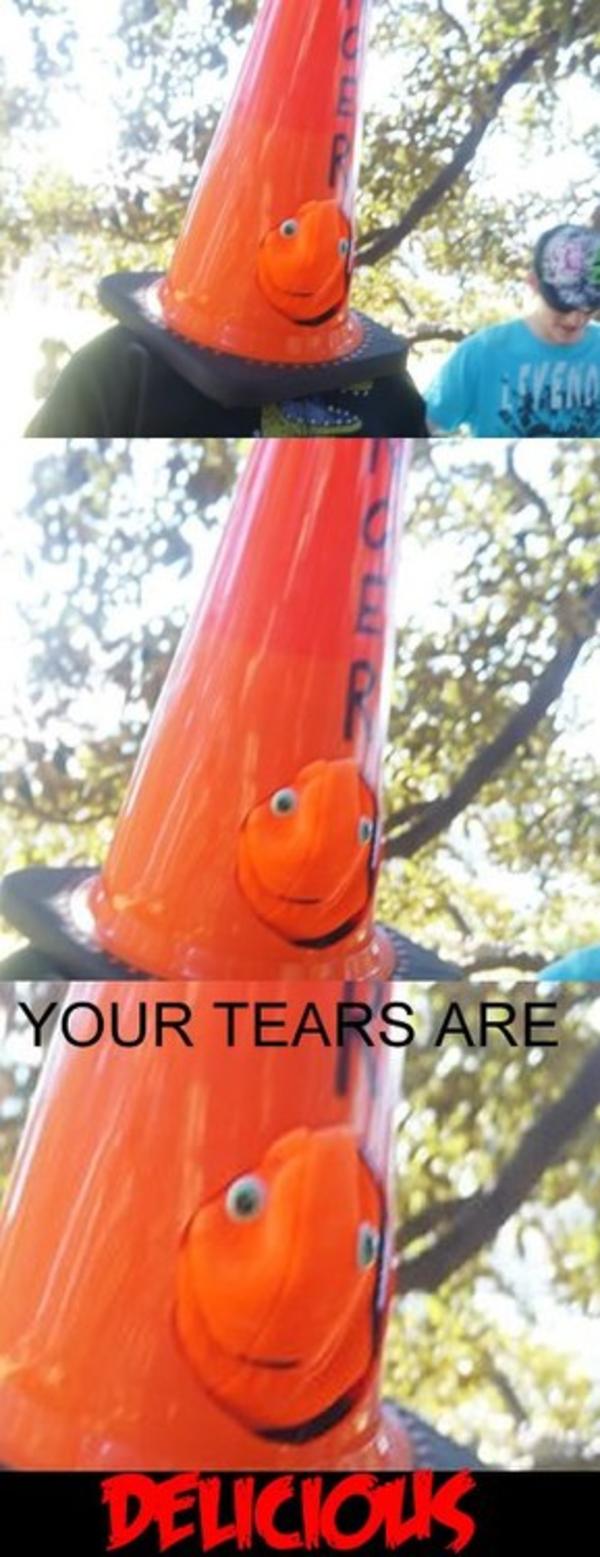 [Image - 460885] | Your Tears are Delicious | Know Your Meme