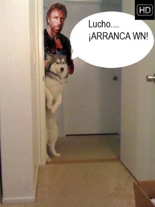 [Image - 461358] | Oye Lucho / El Perro Del Lucho | Know Your Meme