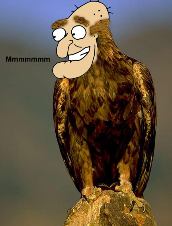[Image - 463015] | Golden Eagle Snatches Kid | Know Your Meme