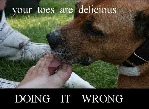 Your toes are delicious | Your Tears are Delicious | Know Your Meme