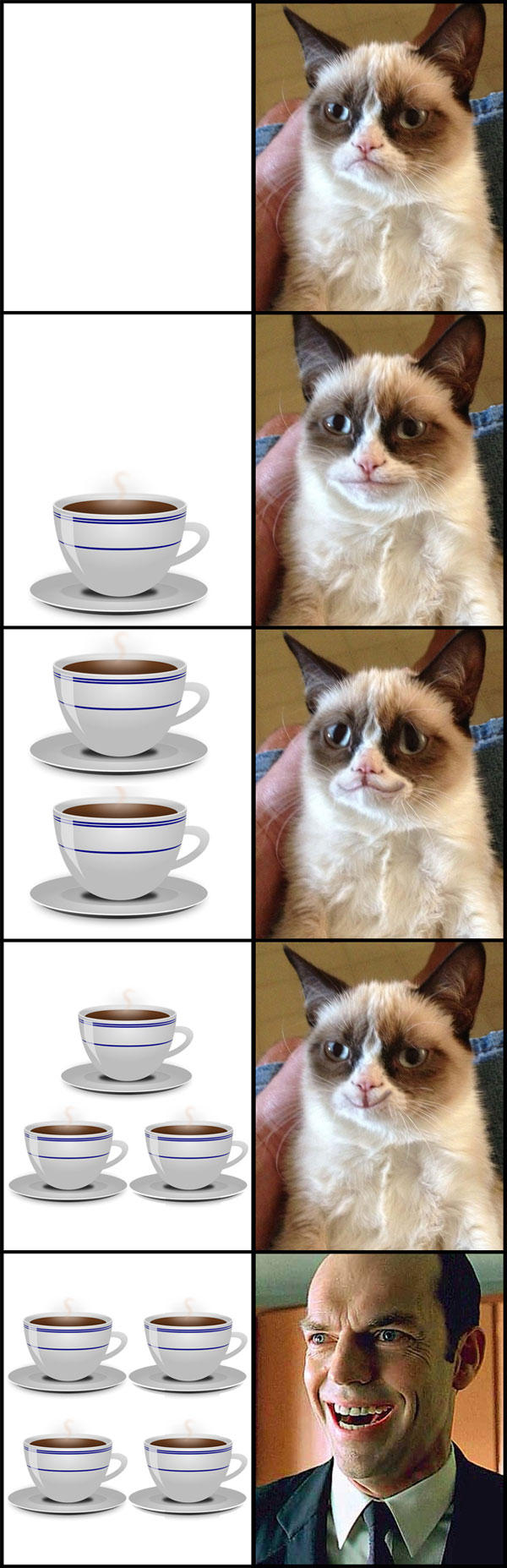 Effects of Caffeine | Grumpy Cat | Know Your Meme