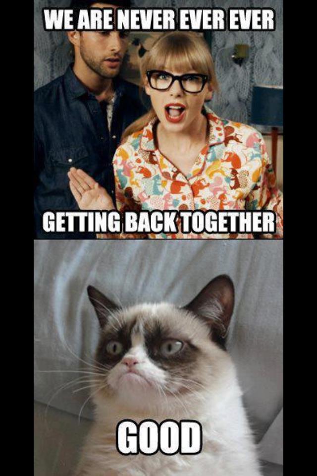 [Image - 466431] | Grumpy Cat | Know Your Meme