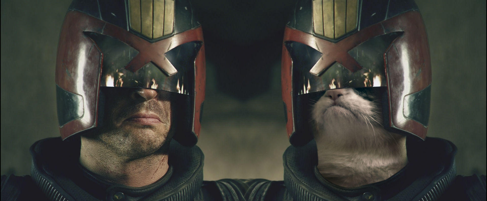 Grumpy cat is judge dredd! | Grumpy Cat | Know Your Meme