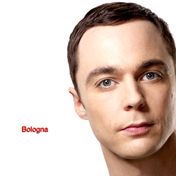 [Image - 467472] | Bazinga | Know Your Meme