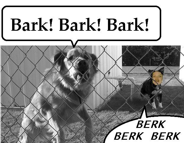 Berk like a derg | Ermahgerd | Know Your Meme