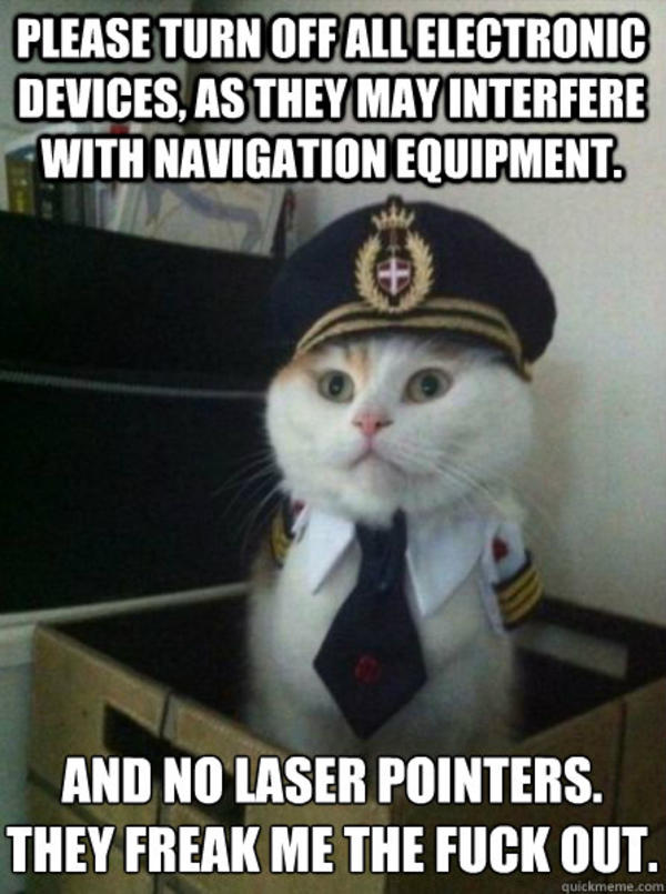 [Image - 467906] | Captain Kitteh | Know Your Meme