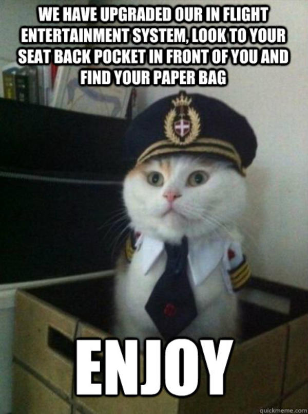 [Image - 467930] | Captain Kitteh | Know Your Meme