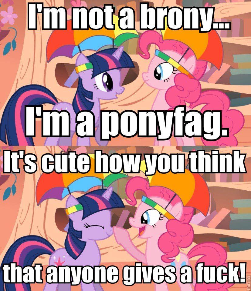 /mlp/ in a nutshell | My Little Pony: Friendship is Magic | Know Your Meme