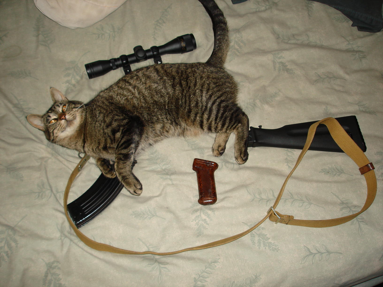 Custom Cat Rifle | Cats | Know Your Meme