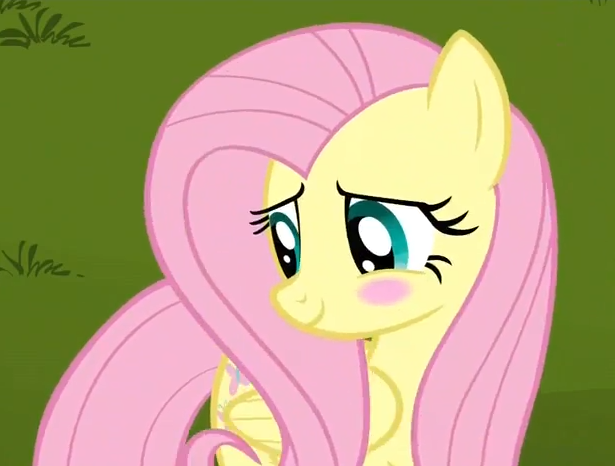 Shy Fluttershy | My Little Pony: Friendship is Magic | Know Your Meme