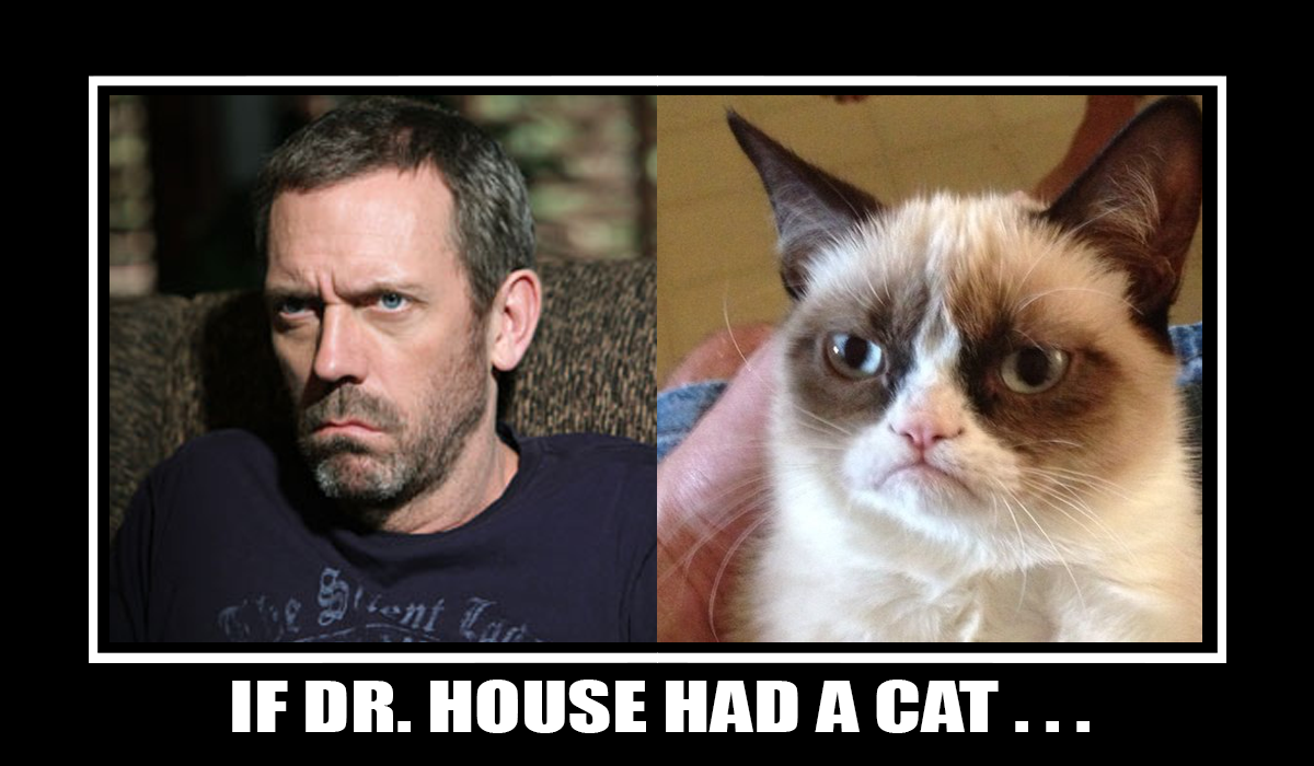 If House had a cat. | Know Your Meme