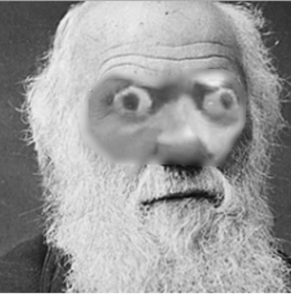 Scout Face Trend | Scout Face | Know Your Meme