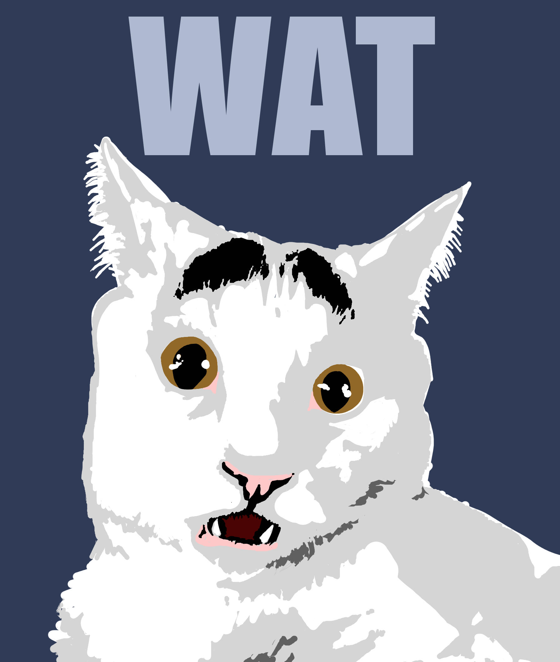 [Image - 491176] | Eyebrow Cat | Know Your Meme