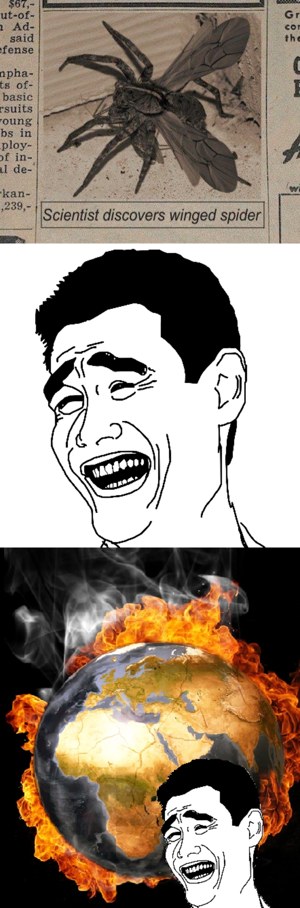 Nope Nope Nope NOPE NOPE NOPE NOPENOPENOPE NOPENOPENOPE ...