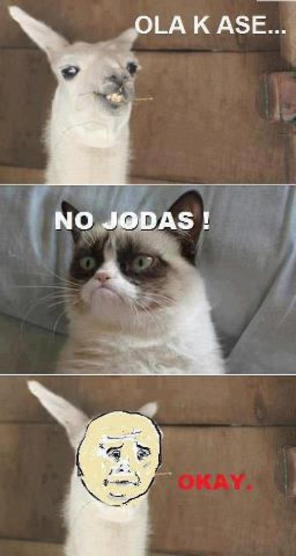 [Image - 493339] | Ola K Ase | Know Your Meme