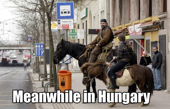 [Image - 497736] | Meanwhile in... | Know Your Meme